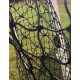 Throwing Cages